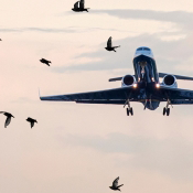 Aviation English courses - Professional Education at Embry-Riddle ...