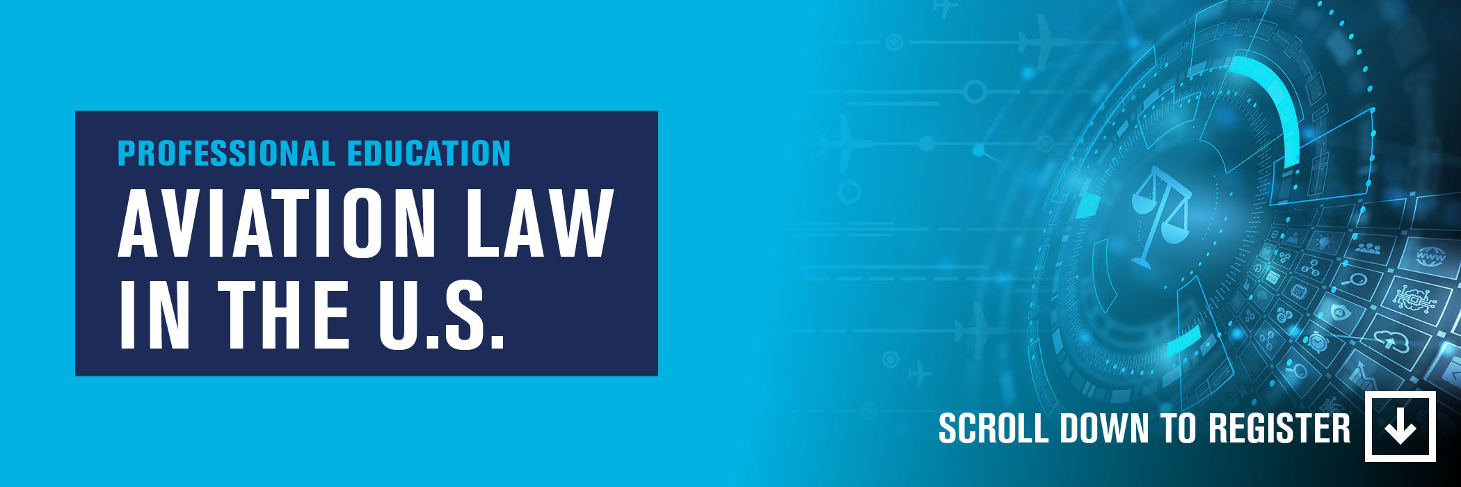 Aviation Law in the U.S. (Virtual) - Professional Education at Embry ...