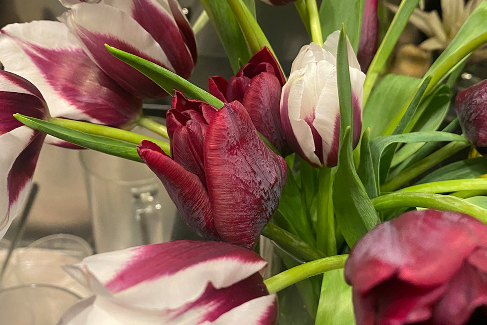 Floral Design courses - Continuing Education at the New York Botanical ...