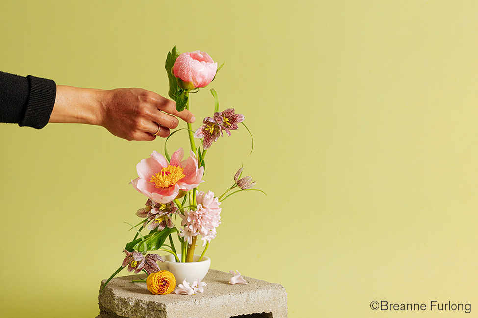 Floral Design courses - Continuing Education at the New York Botanical ...