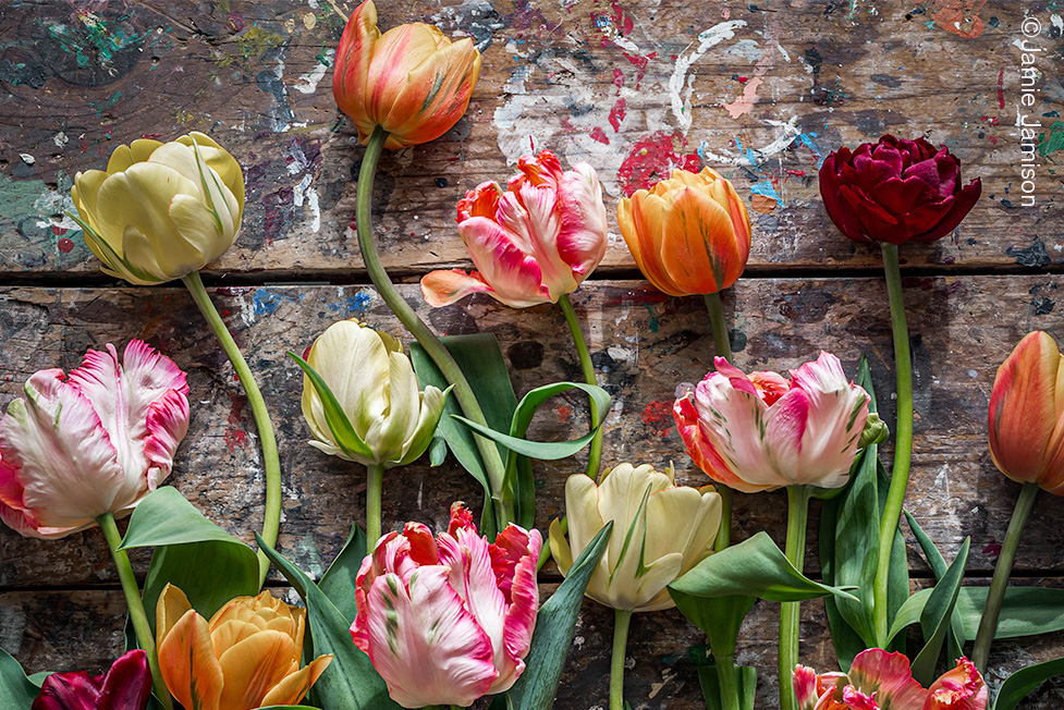 Floral Design courses - Continuing Education at the New York Botanical ...