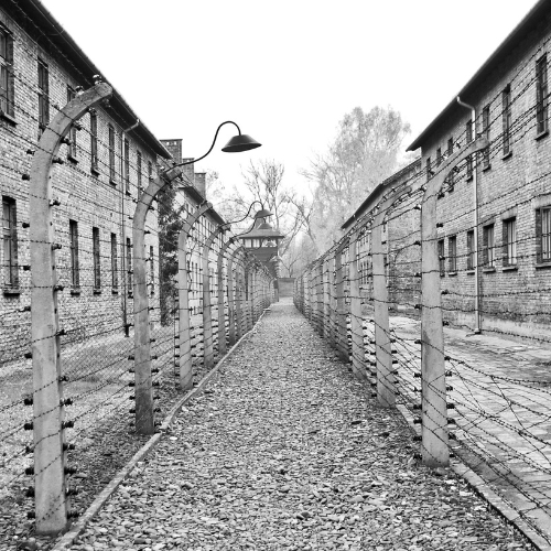 Lifelong Learning Experiences courses - Southern Illinois University ...